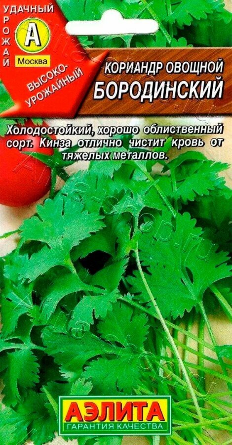 Семена кинзы Аэлита Бородинский, среднеспелые, компактные, 70 см