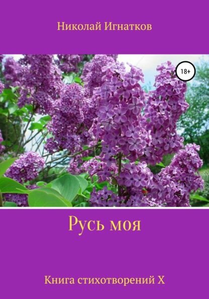 Русь моя. Книга X [Цифровая книга]