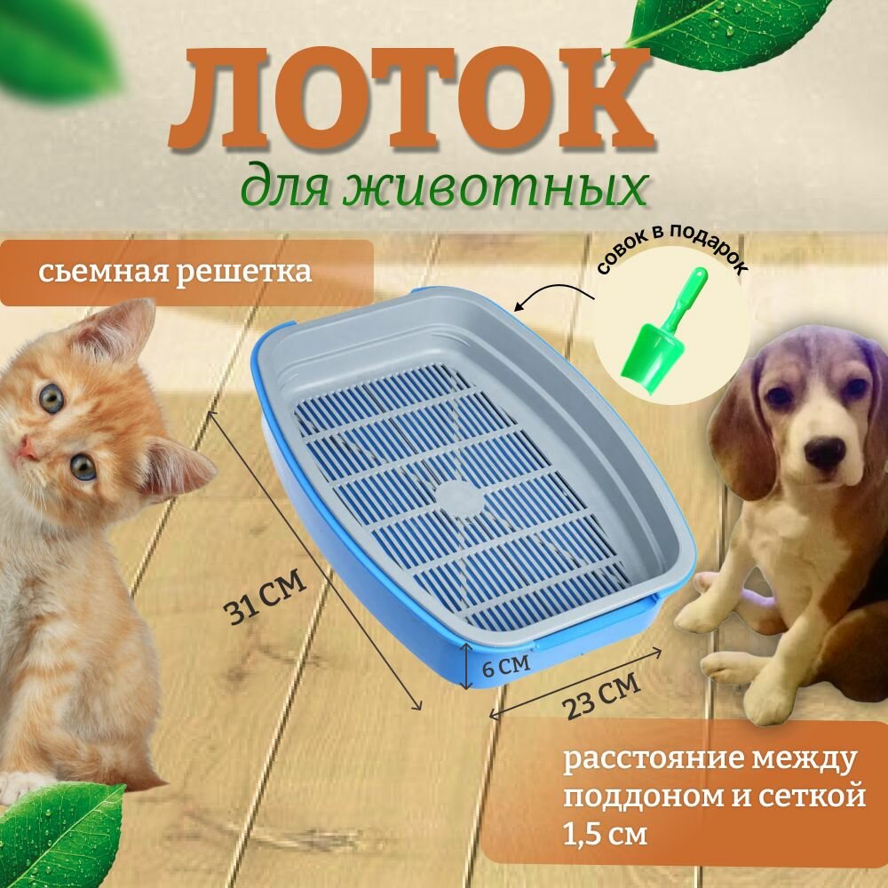 Туалет лоток с сеткой и совком для маленьких кошек (голубой)