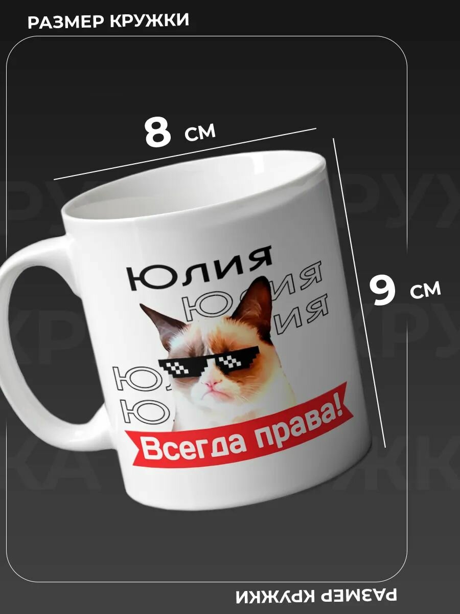 Кружка керамическа PNP NARD, 330 мл, с цветным принтом Юлия всегда права