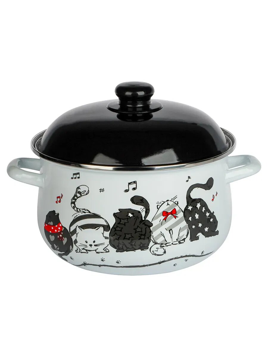 Кастрюля эмалированная с крышкой, 5 литров, 24 см, для индукции