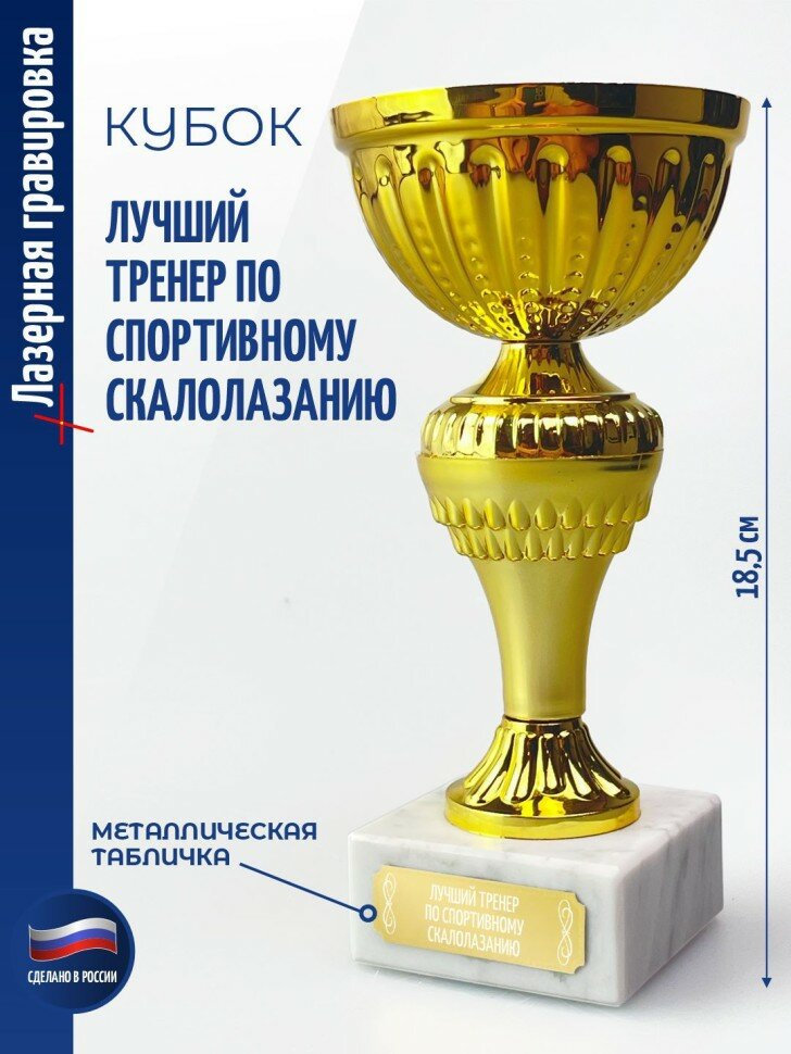 Кубок "Лучший тренер по спортивному скалолазанию" (18,4 см)