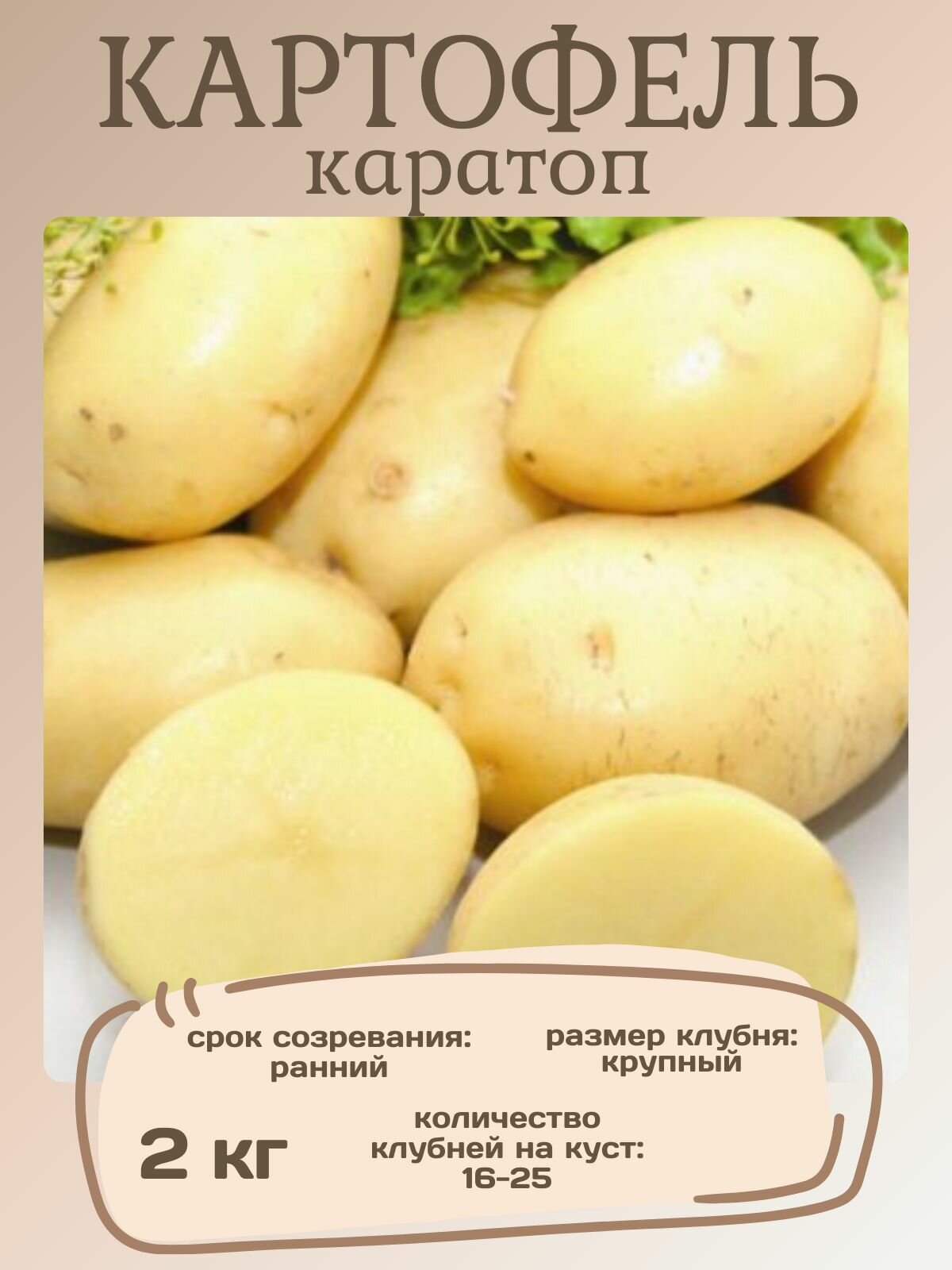 Картофель семенной 2 кг, на посадку