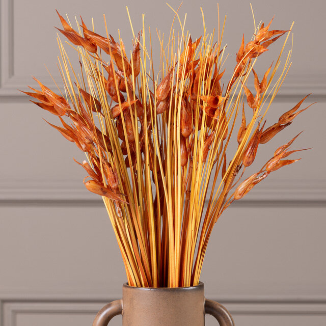 Искусственный букет Sorghum 48 см, Boltze, 2005648-1