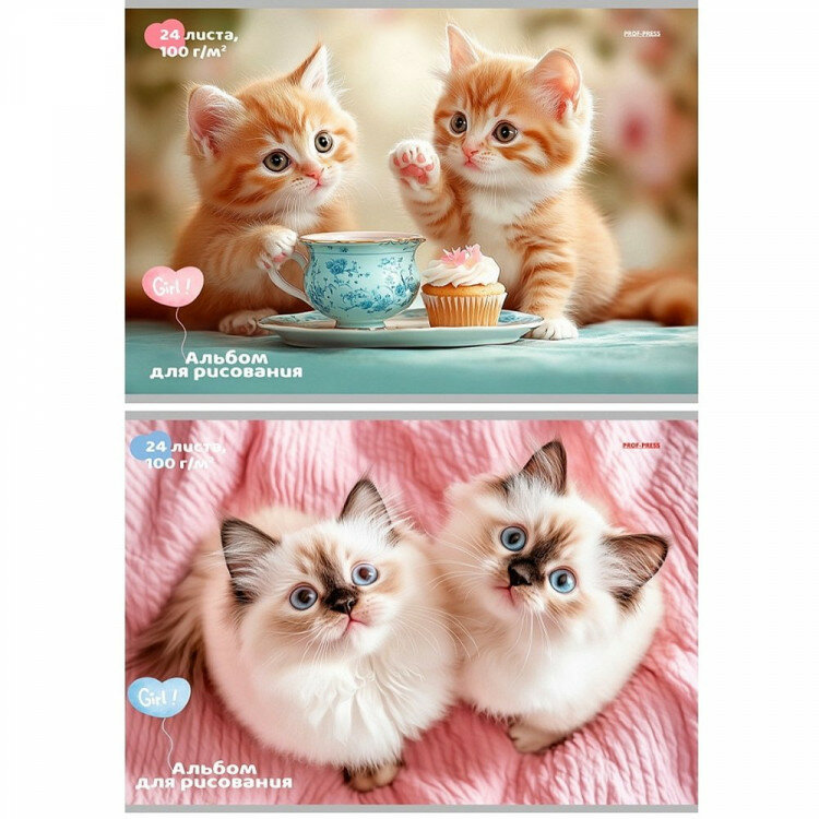 Альбом для рисования 24 листа скоба (Prof-Press) Пара милых котят-1 арт.24-7878. Количество в наборе 2 шт.