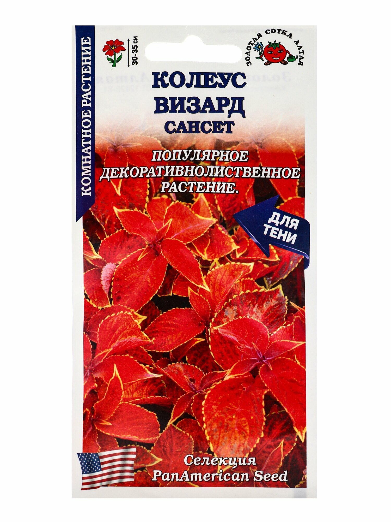 Семена Колеус «Визард Сансет», 10 шт, комнатное, «Золотая Сотка Алтая»