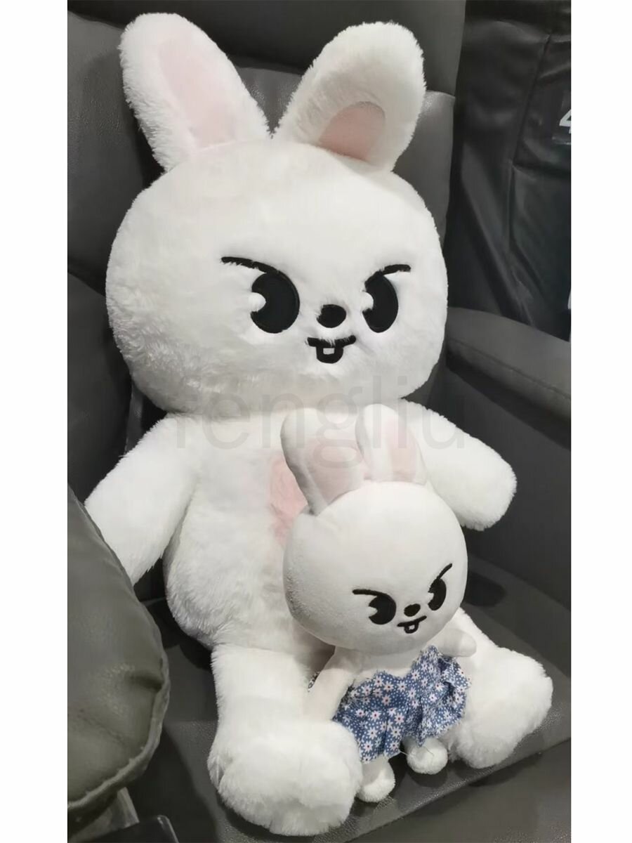 SKZOO 50cm Сидящая Кукла Straykids KARMA