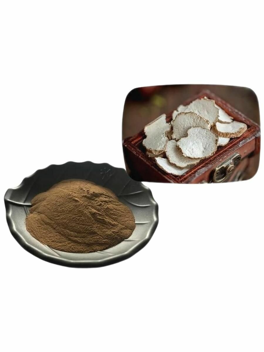 Экстракт тигрового молочного гриба 50: 1 Tiger Milk Mushroom , 100 г