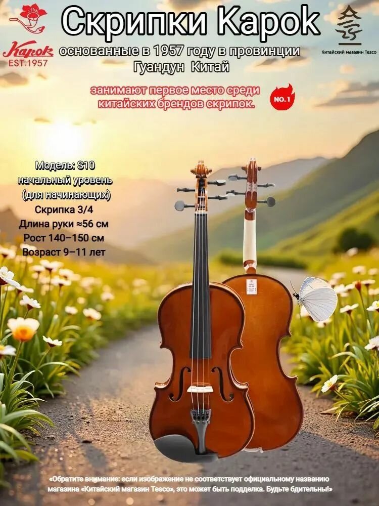 Струнный инструмент