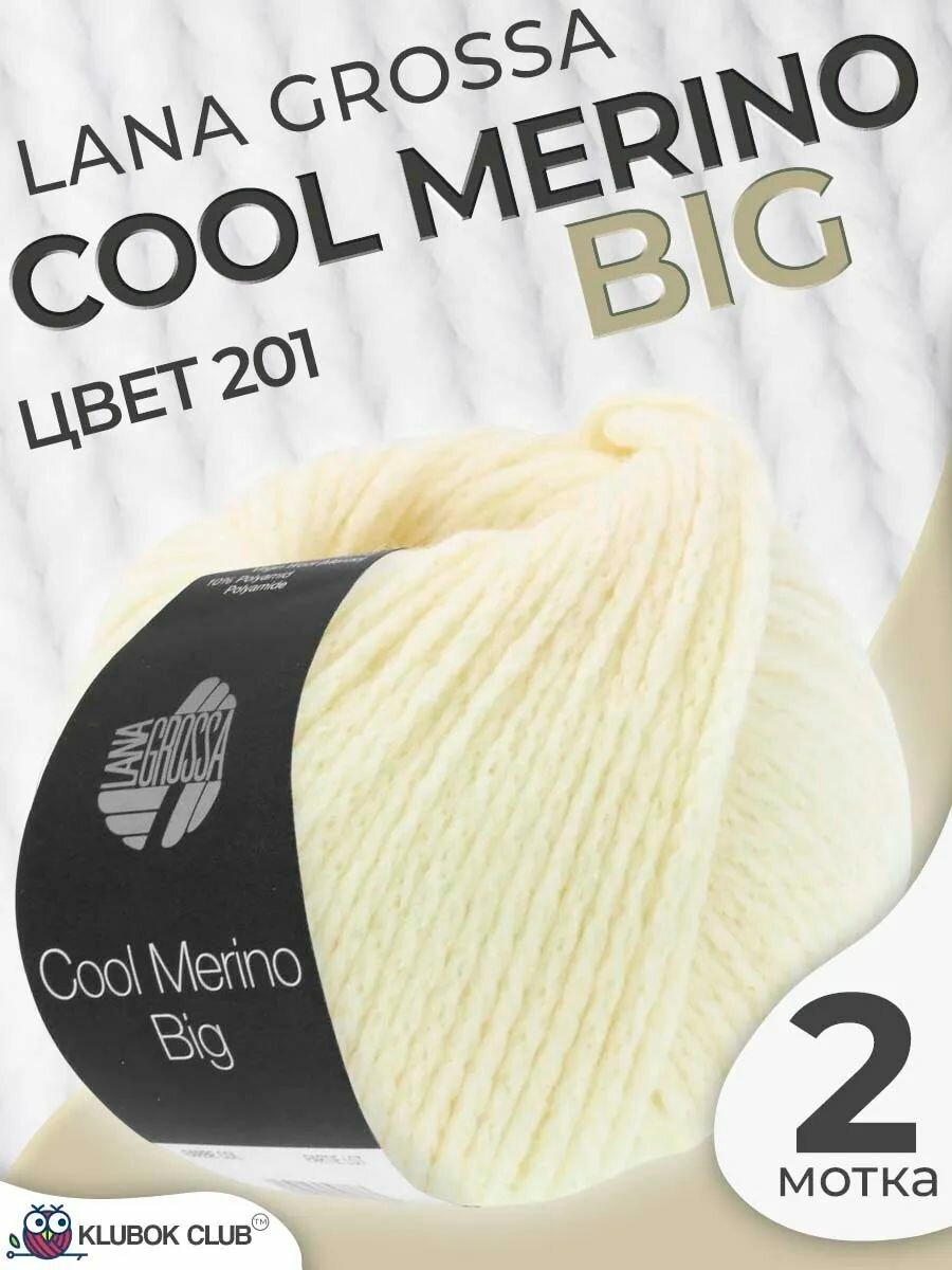 Пряжа для вязания Lana Grossa Cool Merino Big шнурок, цвет 201, 2 мотка
