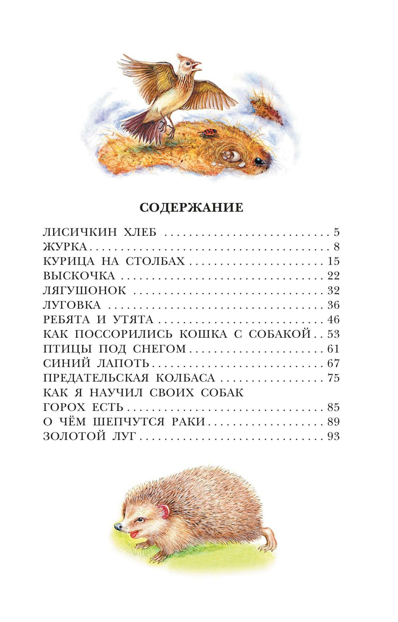 Лисичкин хлеб — фото 1