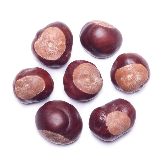 Каштан конский, против паразитов, травяной чай, Крым 250 гр.