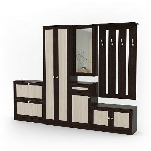 Прихожая Комби-2 Венге для одежды шкаф для прихожей, гардеробная, обувница 265*200*37