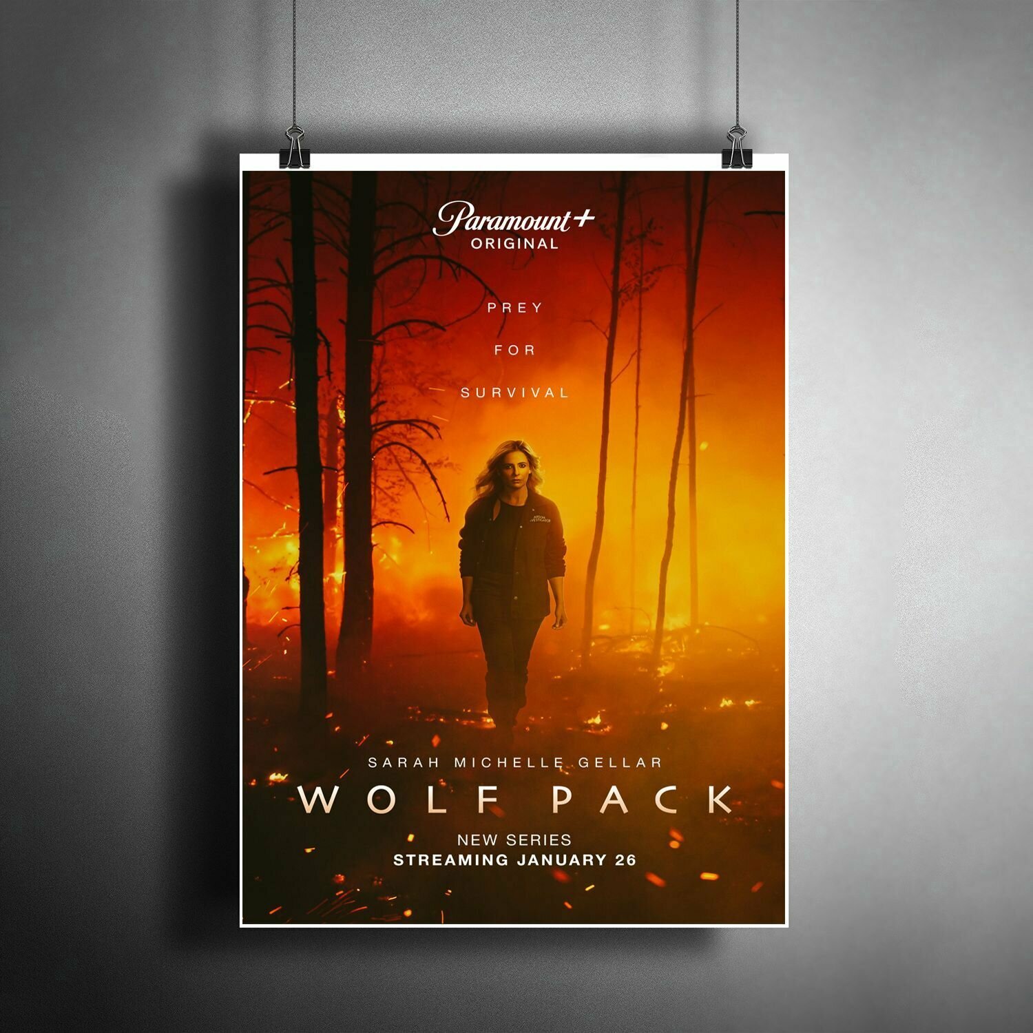 Постер плакат для интерьера "Сериал: Волчья стая (Wolf Pack)" / Декор дома, офиса, комнаты, квартиры, детской A3 (297 x 420 мм)