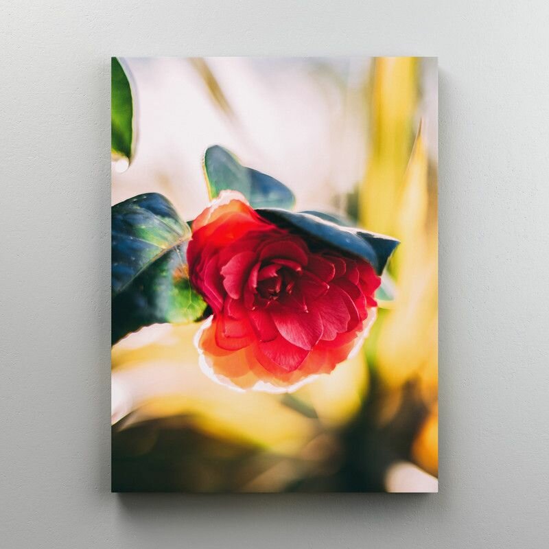 Интерьерная картина на холсте "Цветы и растения - камелия японская" размер 22x30 см