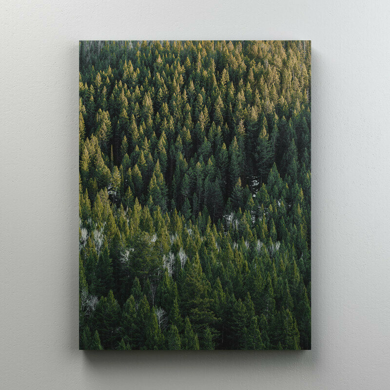 Интерьерная картина на холсте "Лес вид сверху - пейзаж", размер 30x40 см
