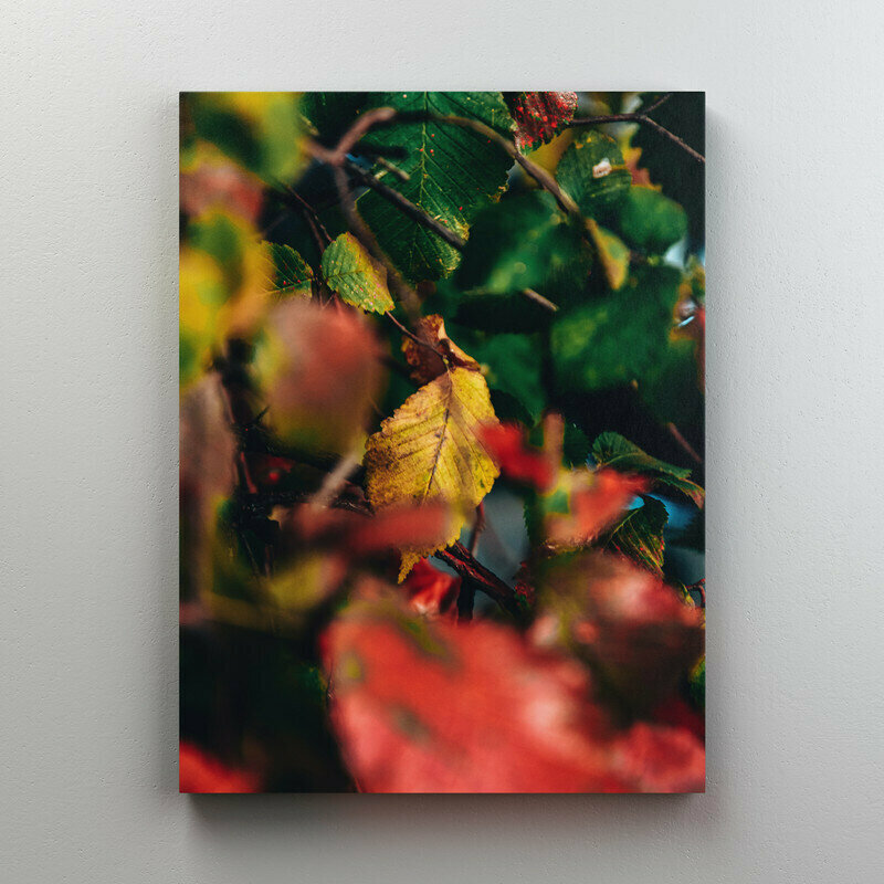 Интерьерная картина на холсте "Разноцветная осенняя листва" размер 22x30 см