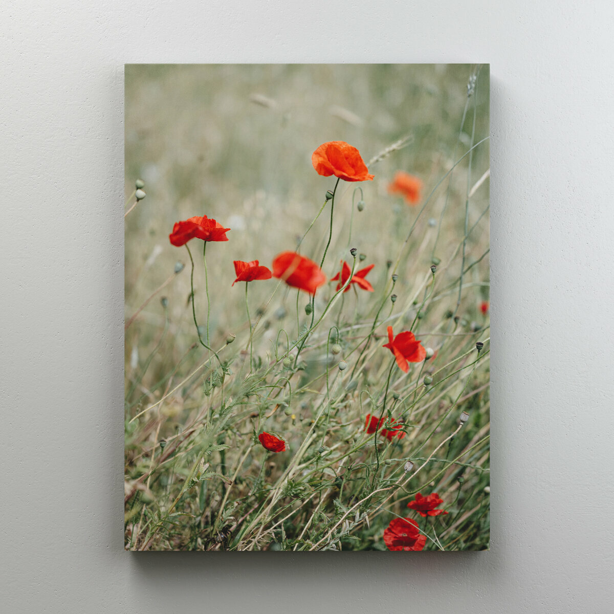 Интерьерная картина на холсте "Красные маки №2" растения, размер 22x30 см