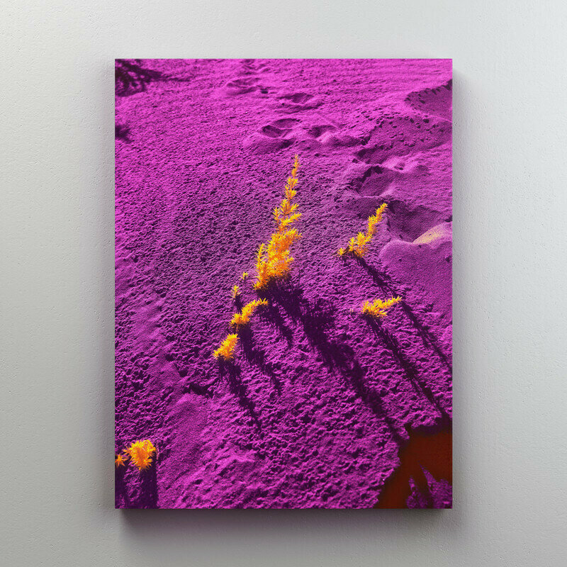 Интерьерная картина на холсте "Фиолетовый песок", размер 30x40 см