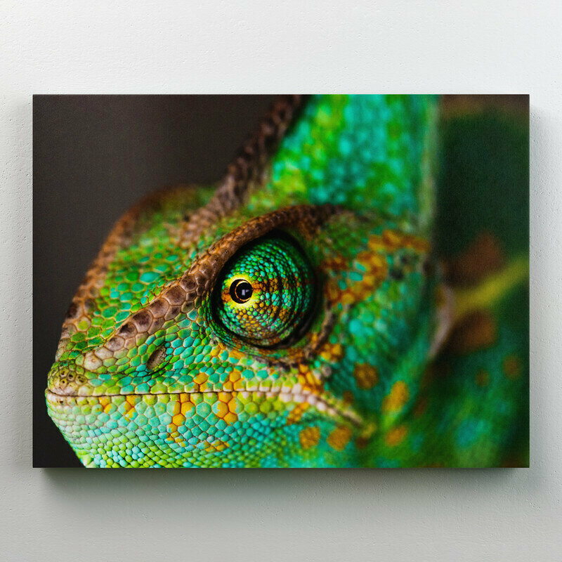 Интерьерная картина на холсте "Хамелеон", размер 40x30 см