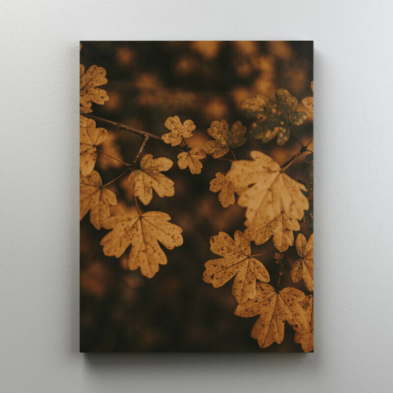 Интерьерная картина на холсте "Кленовая ветвь", размер 30x40 см