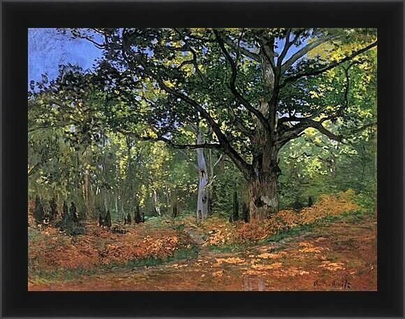 Плакат, постер The Bodmer Oak, Fontainbleau Forest. Клод Моне на холсте, размер 42х60см