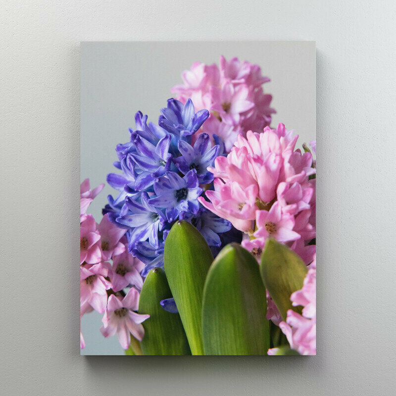 Интерьерная картина на холсте "Разноцветные гиацинты" размер 22x30 см