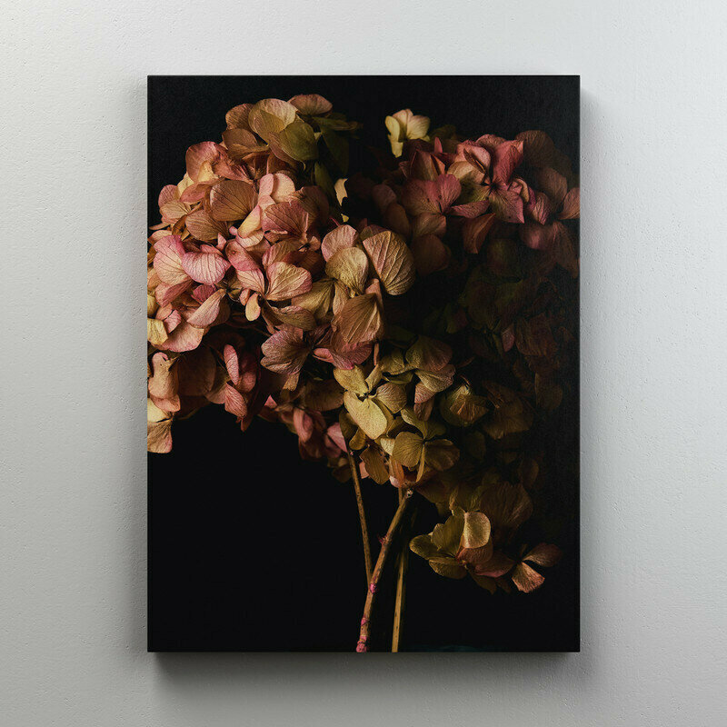 Интерьерная картина на холсте "Коричневая гортензия", размер 22x30 см