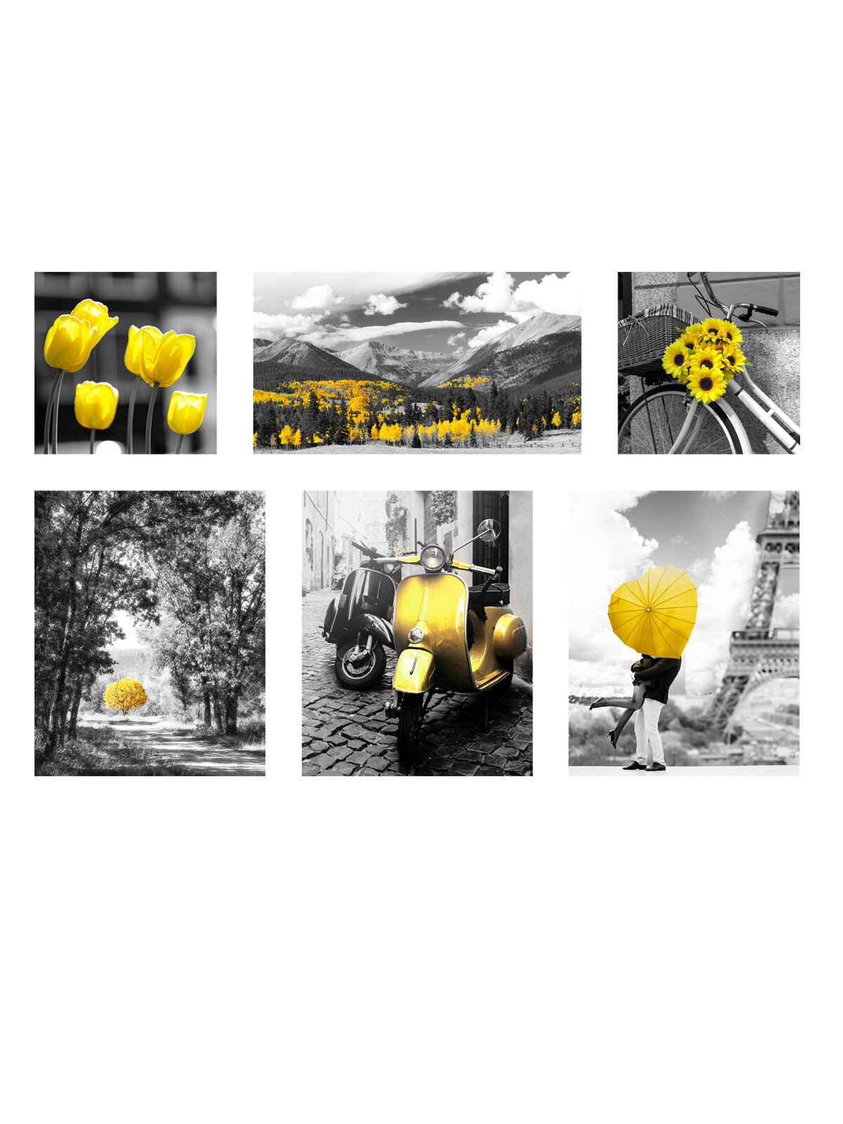 Набор из 6 картин 114х77 см.