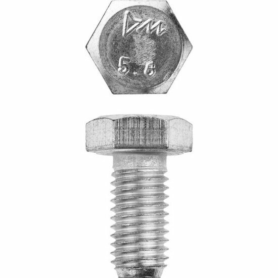 Болт ГОСТ 7798-70 Зубр M12 x 20 мм, 5 кг, кл. пр. 5.8, оцинкованный, 303080-12-020