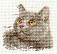 Алиса Британский кот 0-134