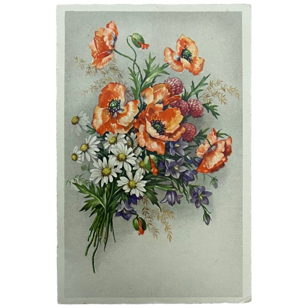 Почтовая открытка "Маки и ромашки" XX век, Европа