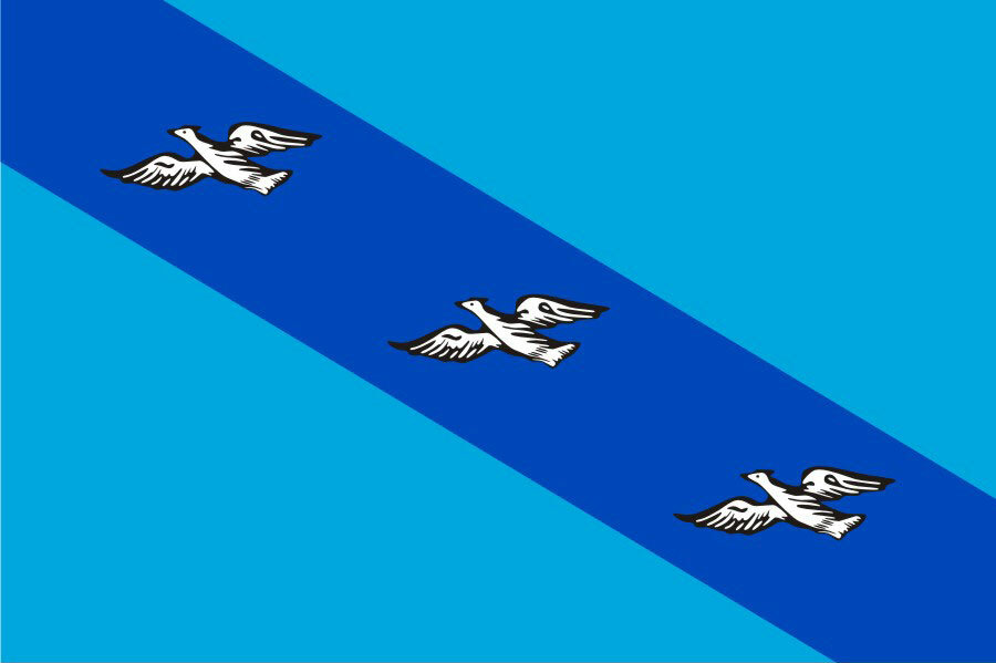 Флаг Курска 90х135 см