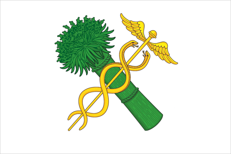 Флаг Новозыбкова 90х135 см