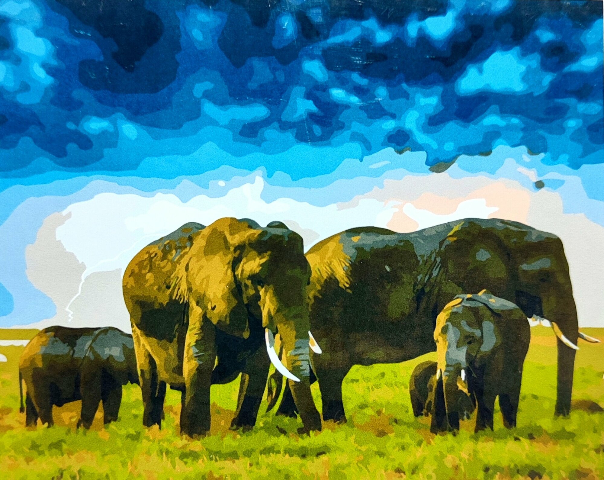 Картина по номерам PaintBoy "Слон", холст на подрамнике, акриловые краски, 40x50 см