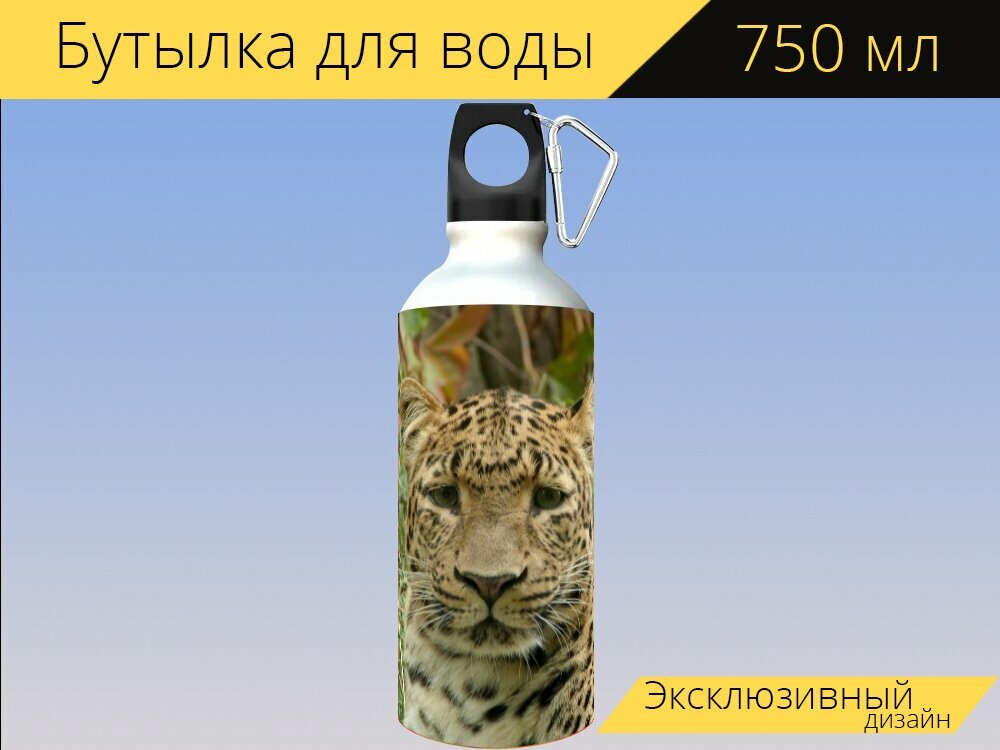 Бутылка фляга для воды "Леопард, китайский леопард, большой кот" 750 мл. с карабином и принтом