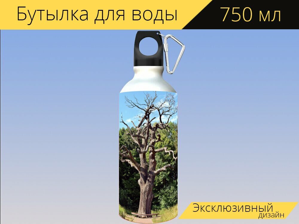 Бутылка фляга для воды "Конец старого дуба, дуб, дубовое дерево" 750 мл. с карабином и принтом