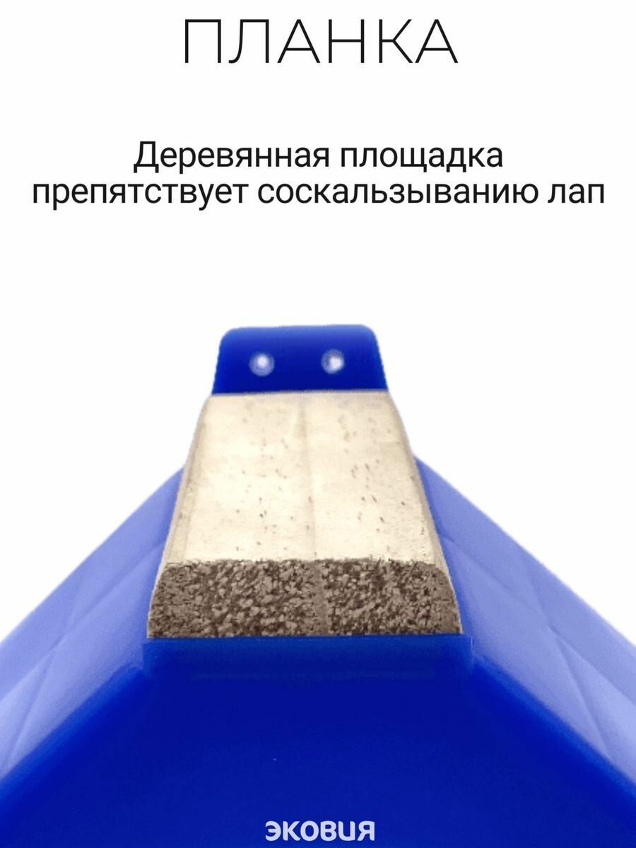 Насест для голубей — фото 1
