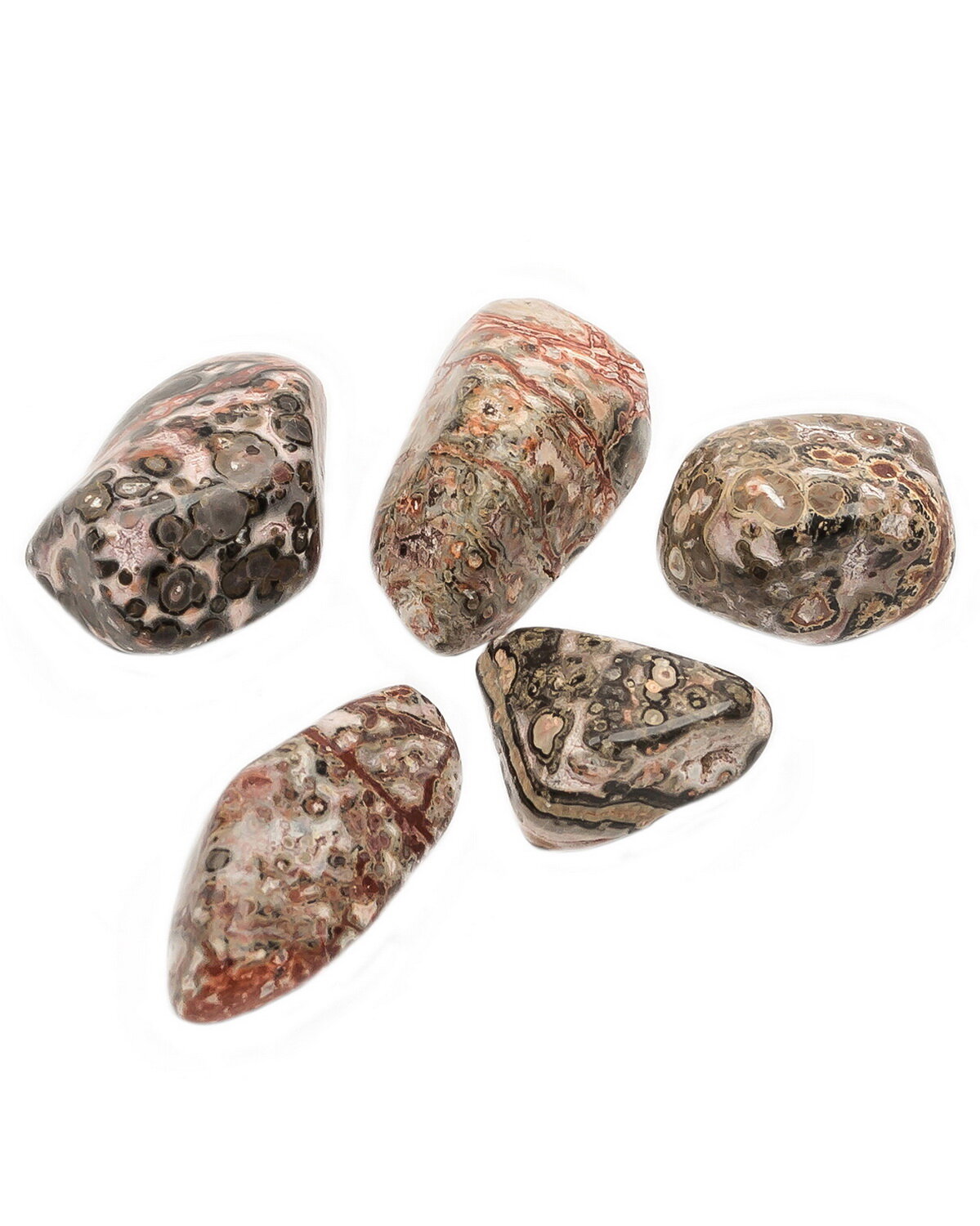 Камень Яшма Леопардовая М, 5 шт. , натуральный минерал в коллекцию.