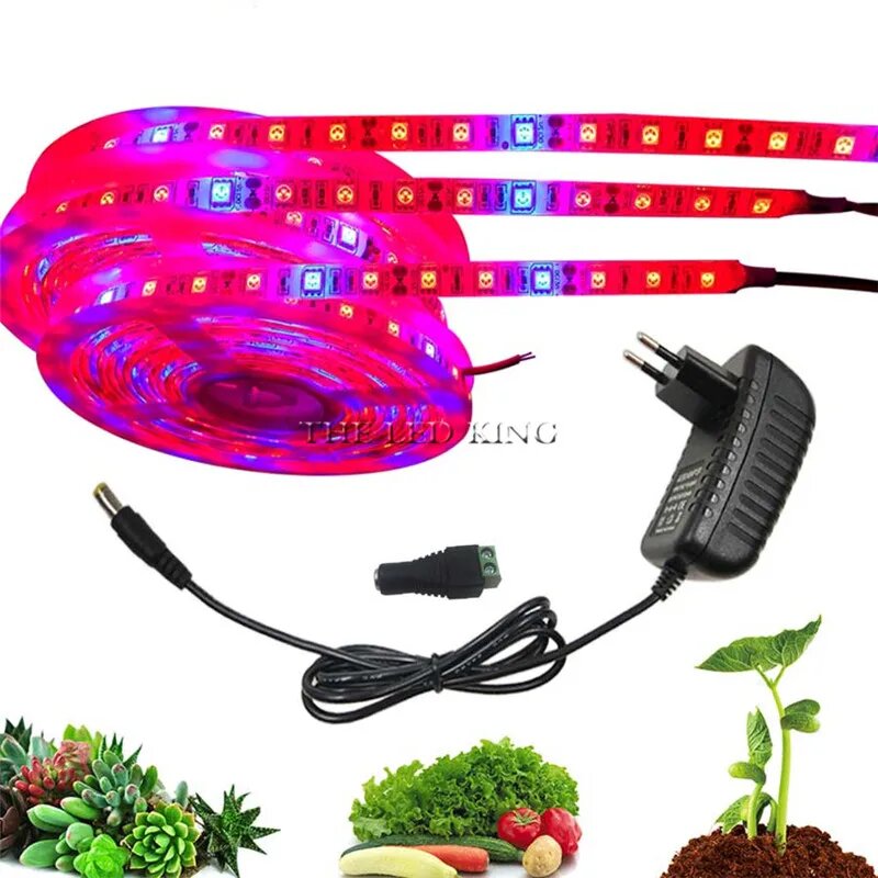 Фитолампа LED 5м, полный спектр, 300LED, 4red 1blue, DC12V, Waterproof
