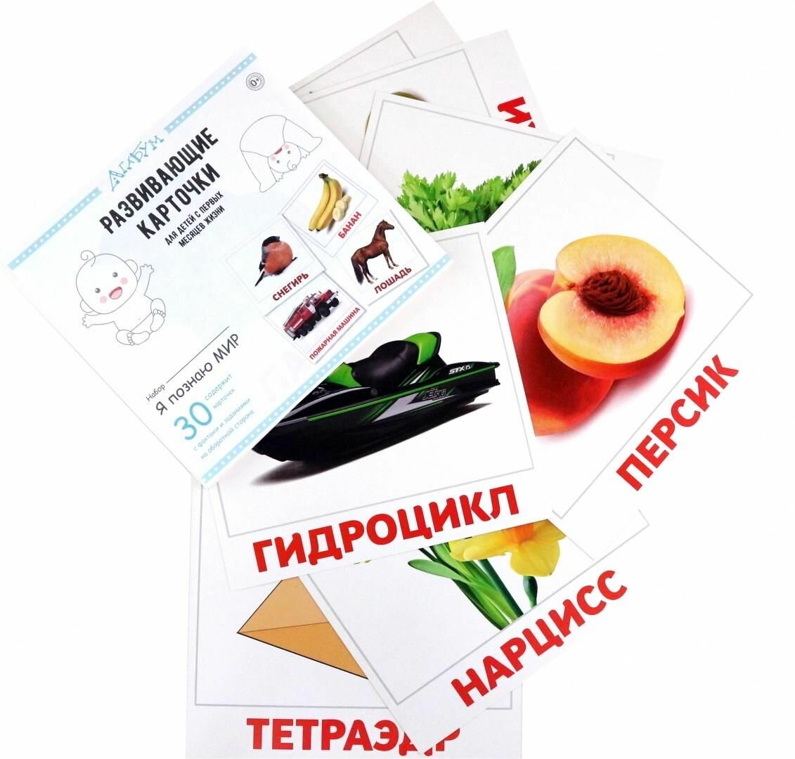 Развивающие карточки АгаБум Я познаю мир. 20 шт. Г. Доман