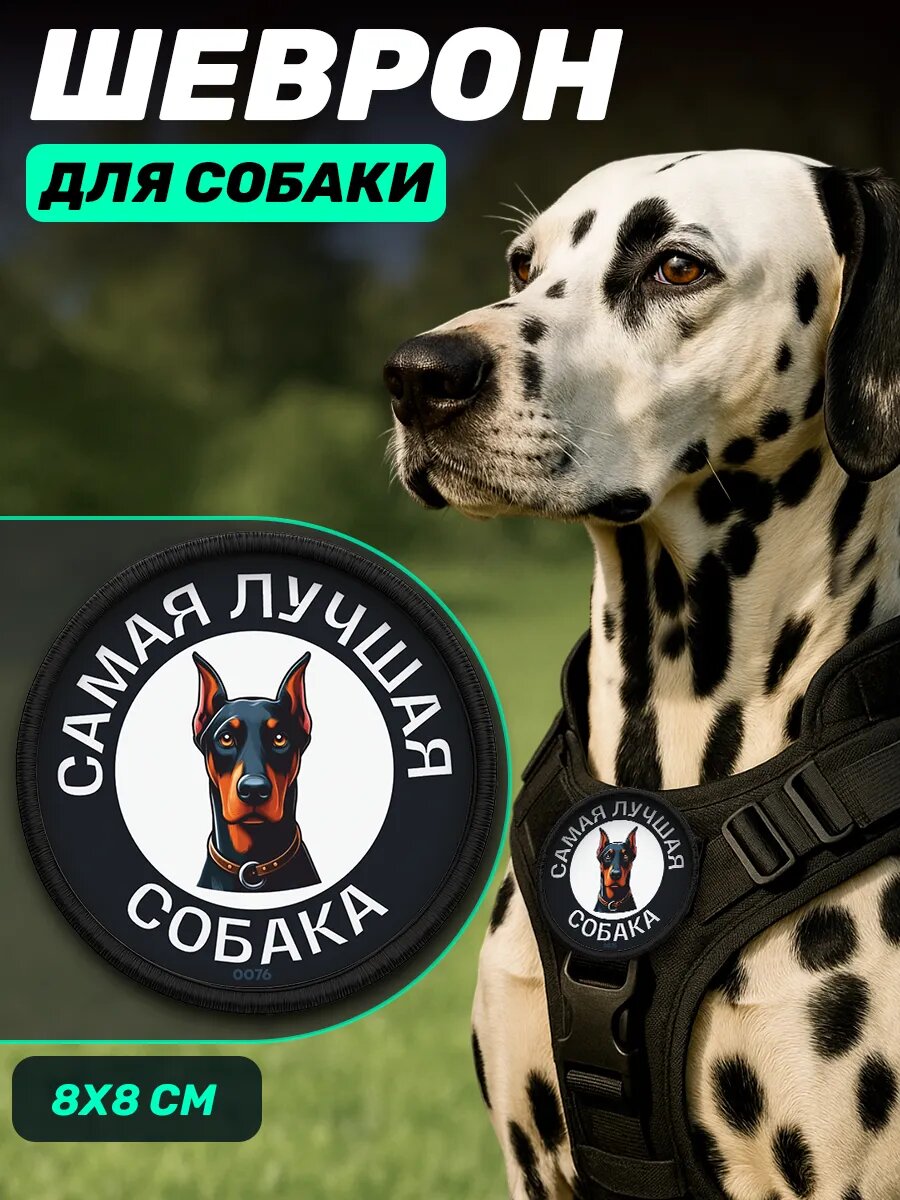 Шеврон на шлейку для собак Самая лучшая собака Доберман черный