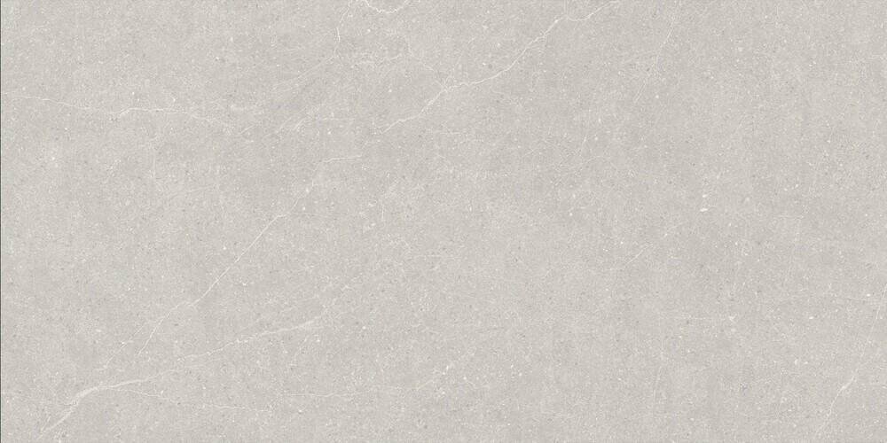 Керамогранит Duna Elenta Elenta Ash Carving 60x120 60x120 Карвинг Серый