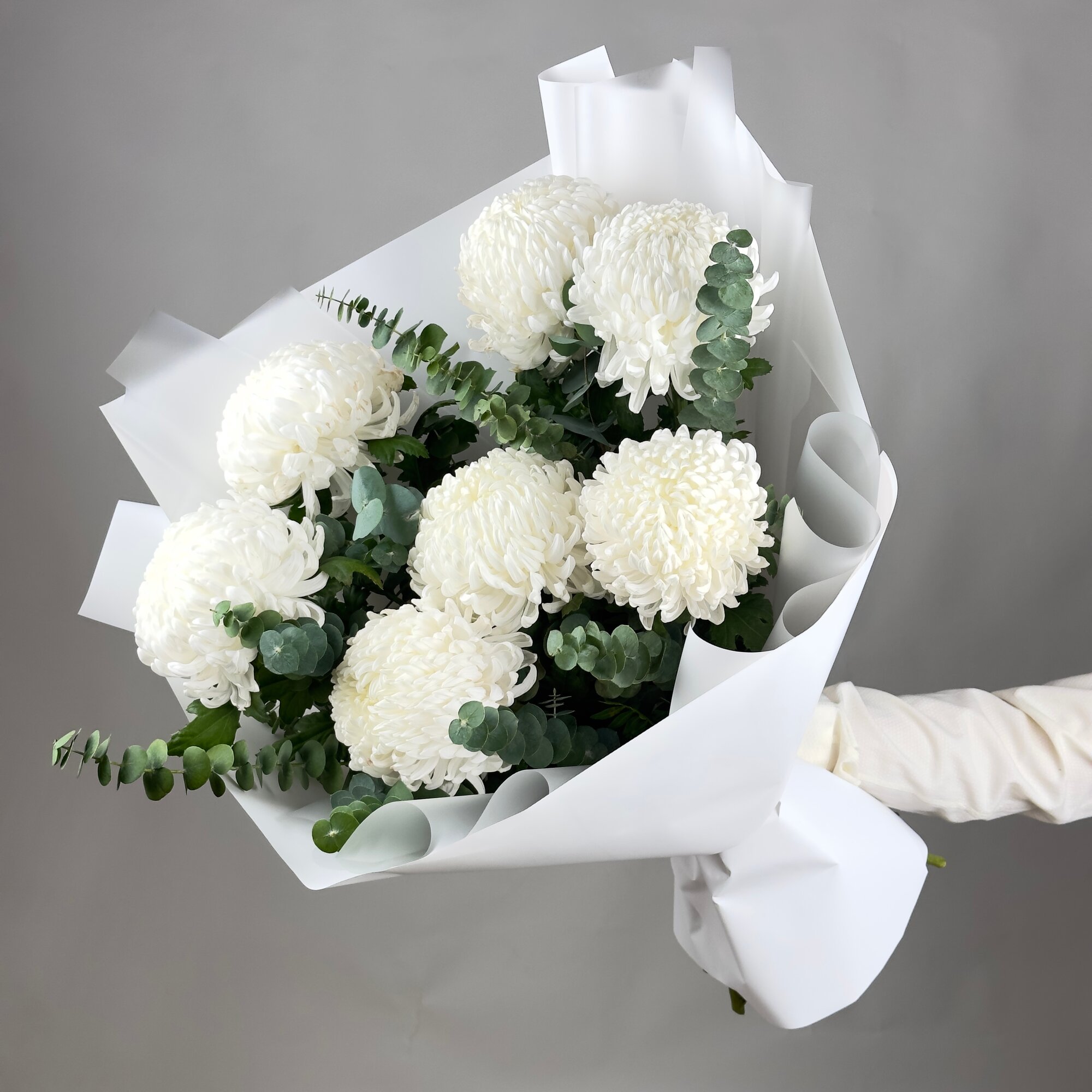Букет цветов из 7 белых одноголовых хризантем Бигуди