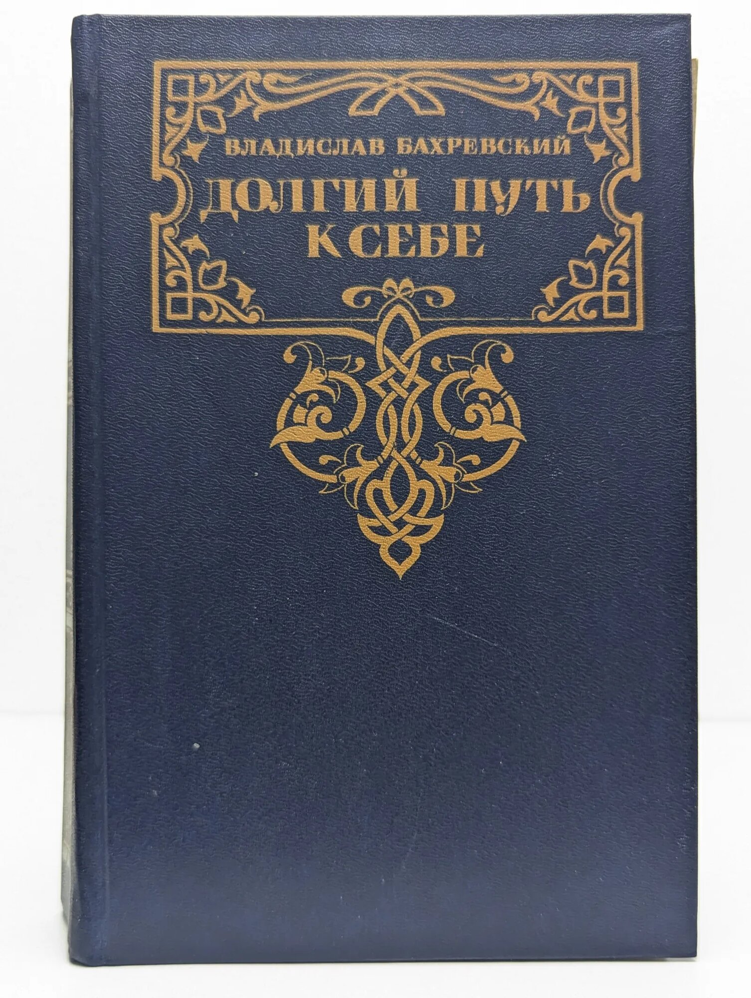 Долгий путь к себе Бахревский Владислав Анатольевич 1991