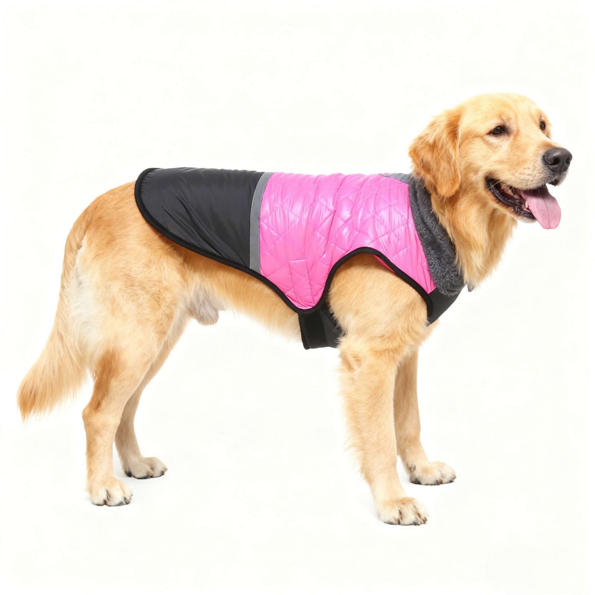 Уличные куртки для домашних животных, ветрозащитная и водонепроницаемая одежда для домашних животных осенью и зимой