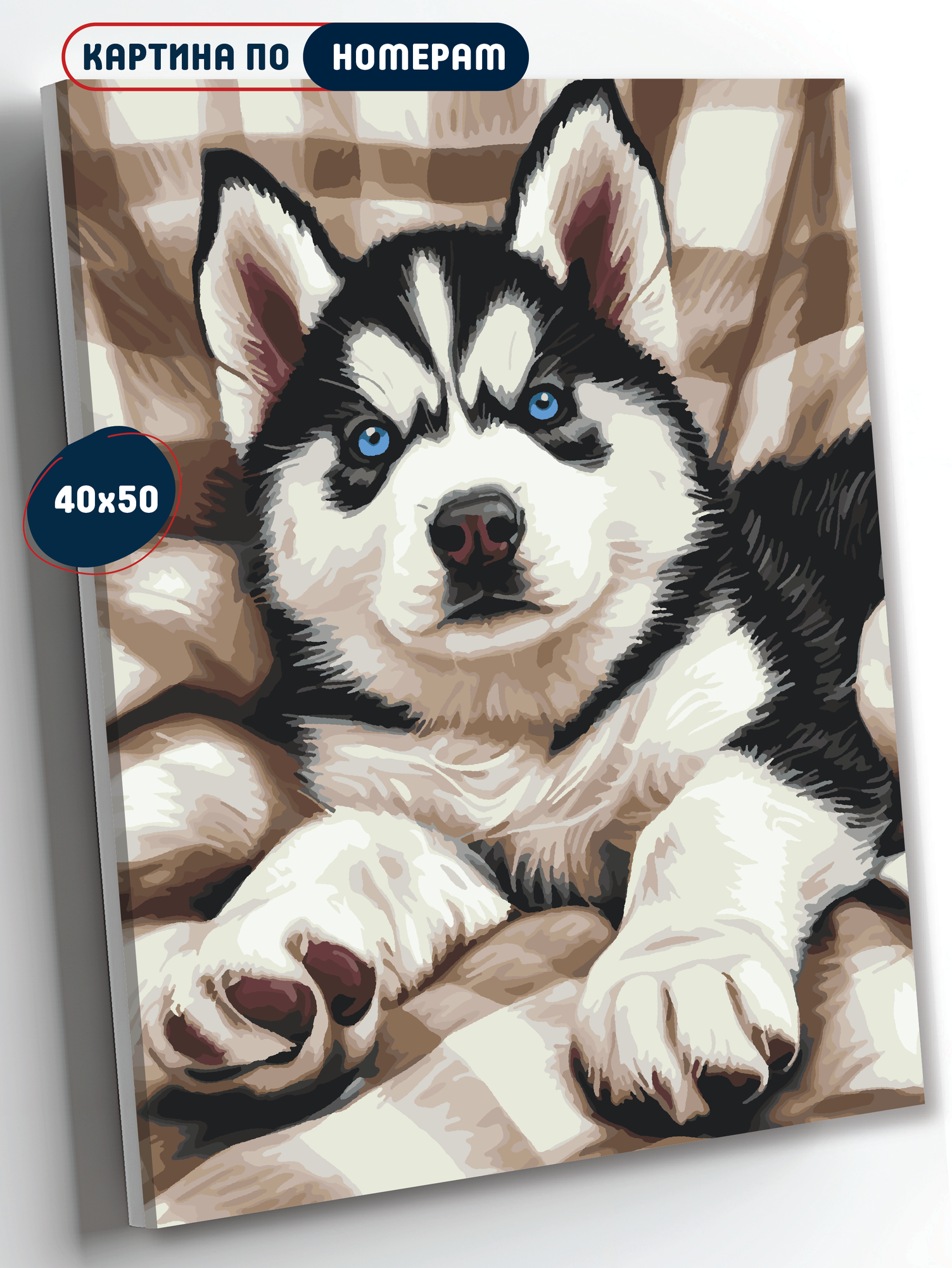 Картина по номерам "Хаски", Холст на подрамнике 40х50, набор для рисования