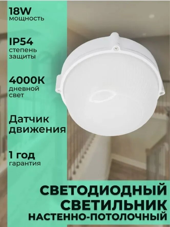 Светильник светодиодный антивандальный 2204 (710R18W) ELVAN