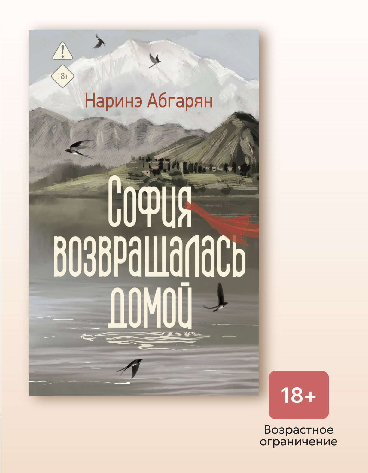 Книга "София возвращалась домой", автор Абгарян Н, издательство Астрель-СПб