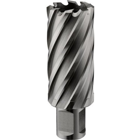 Кольцевая фреза Rotorica HSS 46x55 RT.4215046